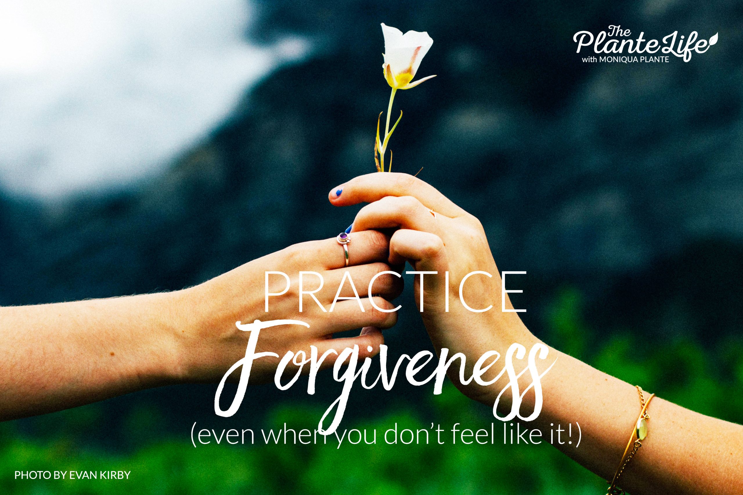 Practice Forgiveness (Even When You Don’t Feel Like It) - Moniqua ...